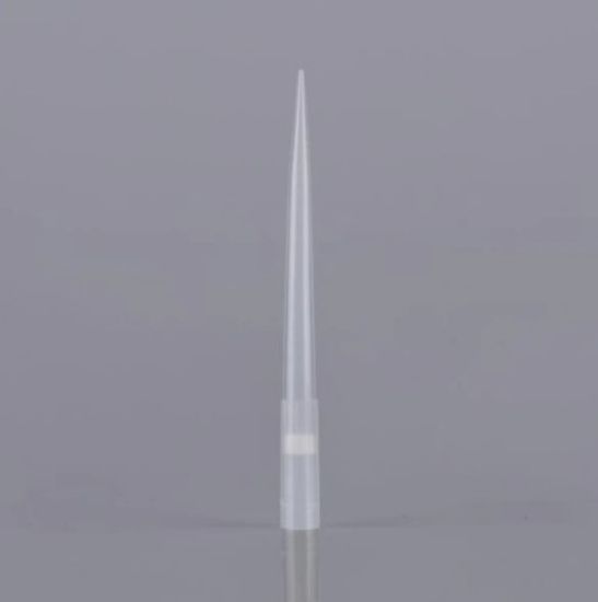 MicroAnalytix - New Zealand-1000 μl Filter universal Pipette Tips ...